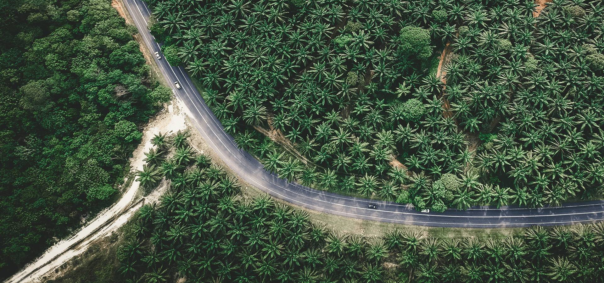 Speaker Diarization Voice Recognition Technology Phonexia